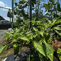 シェア畑garden なんばOCAT(大阪市) | 体験農園なら貸し農園（市民農園）のシェア畑